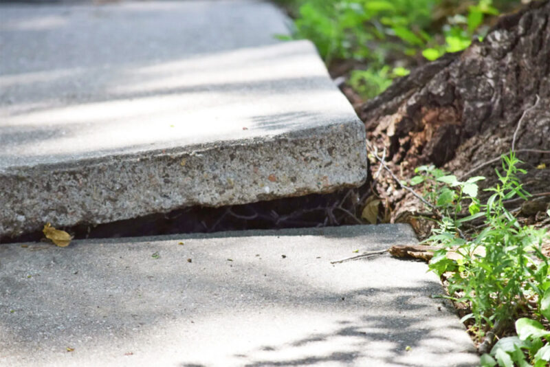 Root Barriers For Foundations | Perma Pier Foundation Repair